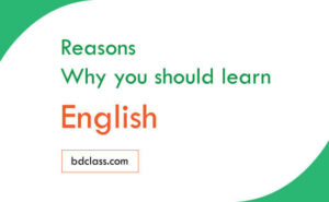 Write a Paragraph on the Importance of Learning English Language | BDClass